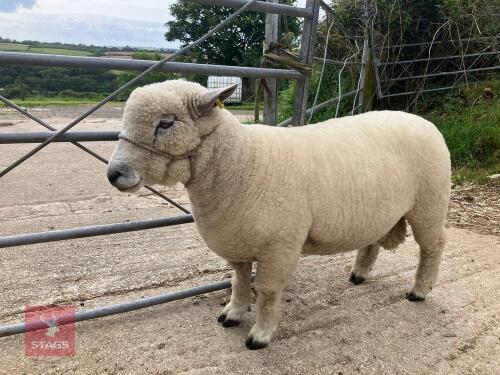 THE SOUTH WEST AUGUST FODDER & LIVESTOCK ONLINE TIMED AUCTION TO ...