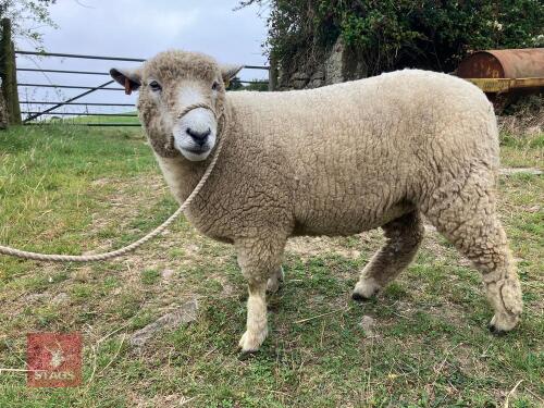 THE SOUTH WEST AUGUST FODDER & LIVESTOCK ONLINE TIMED AUCTION TO ...