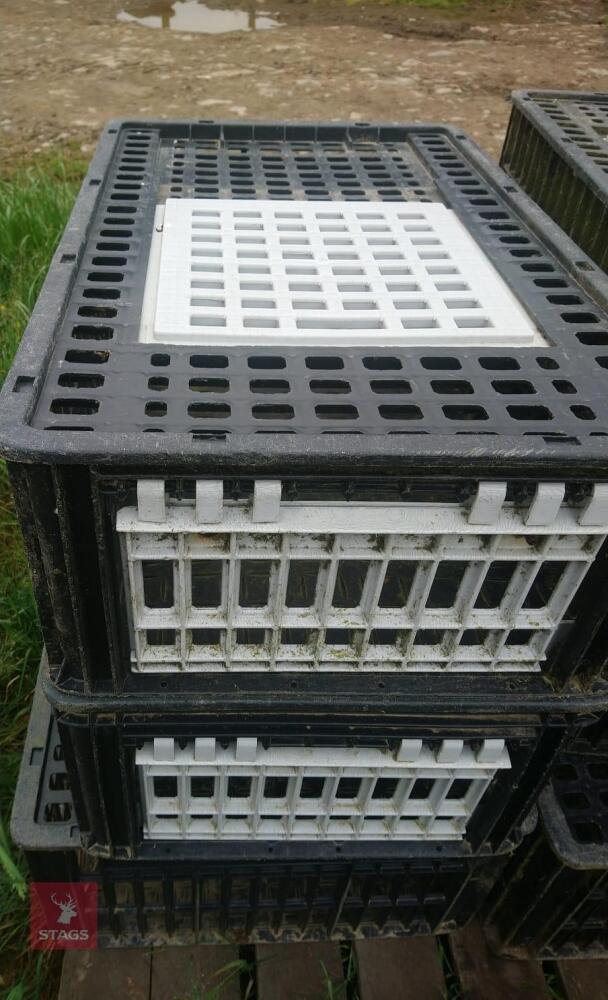 3 POULTRY/PHEASANT CRATES